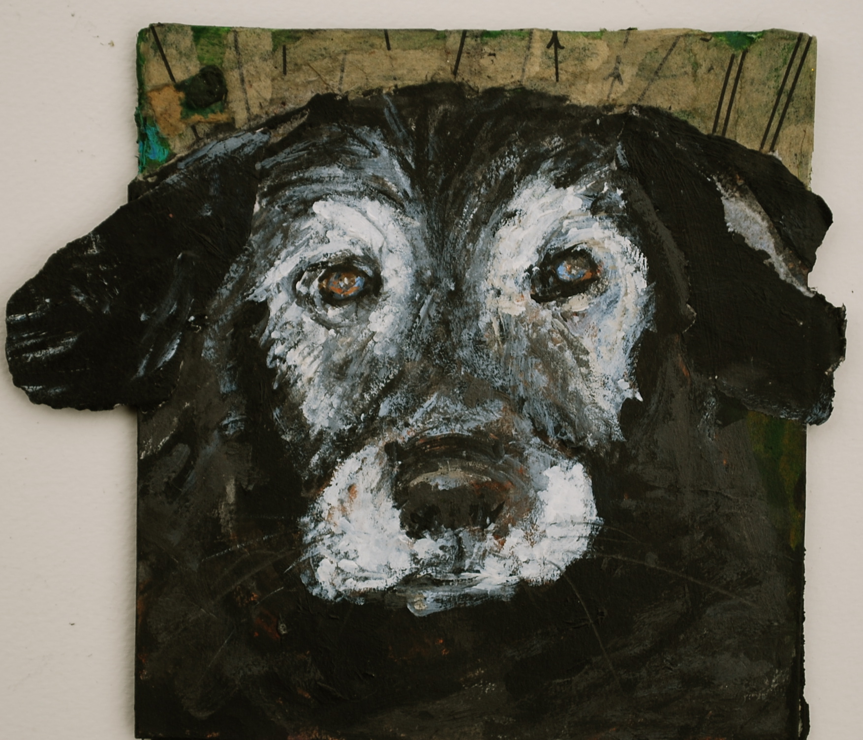 1000 Dog Portraits – Kelly Saxton